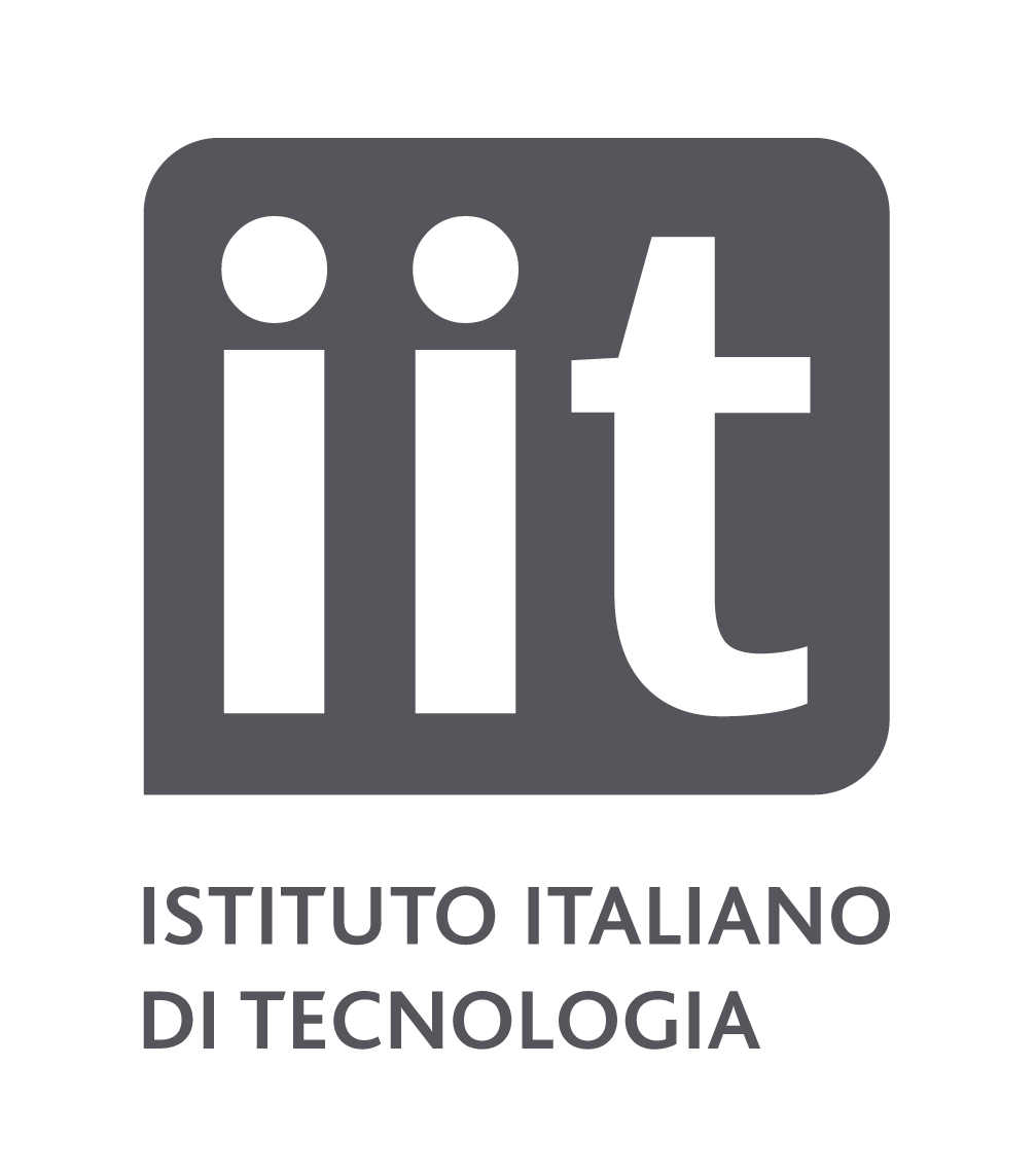 Un dottorato presso IIT - IIT